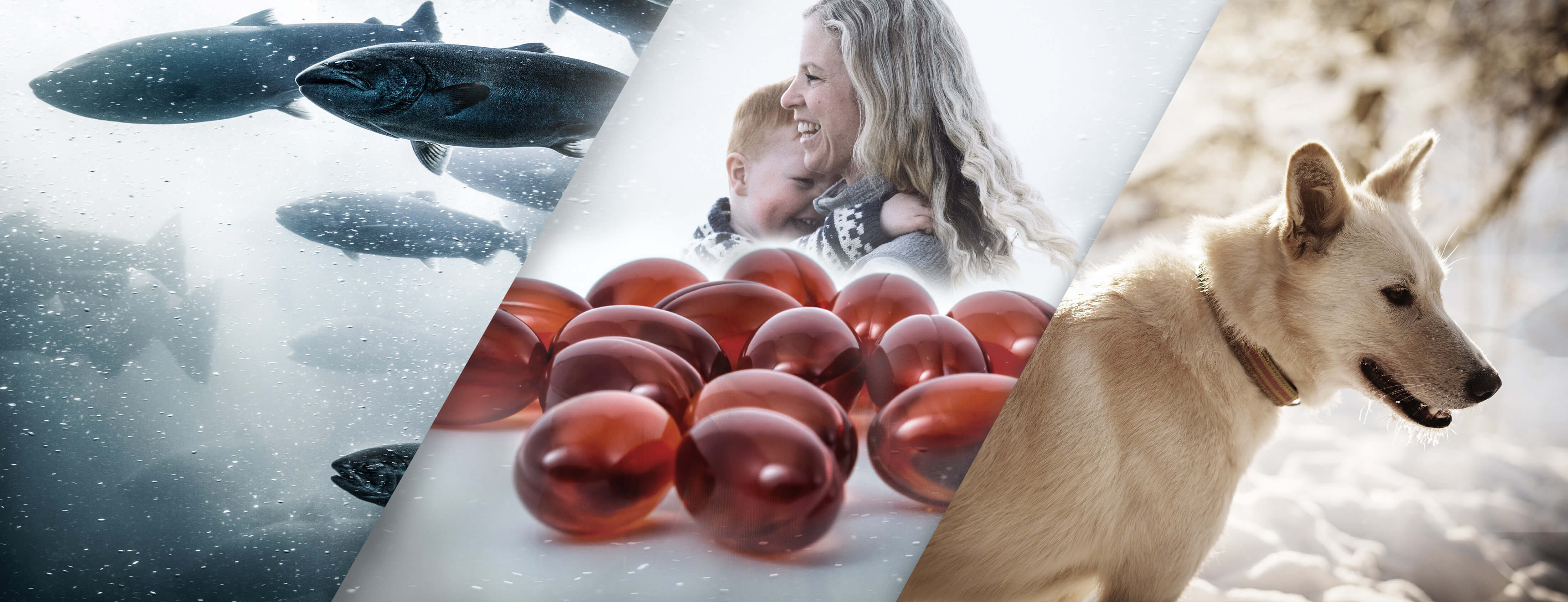 认识 Aker BioMarine