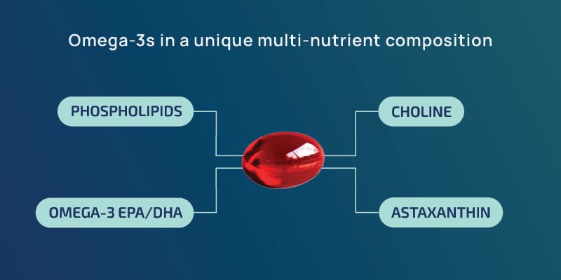 Unlocking the Power of Krill Oil: 7 Key Advantages of Krill Oil for ...